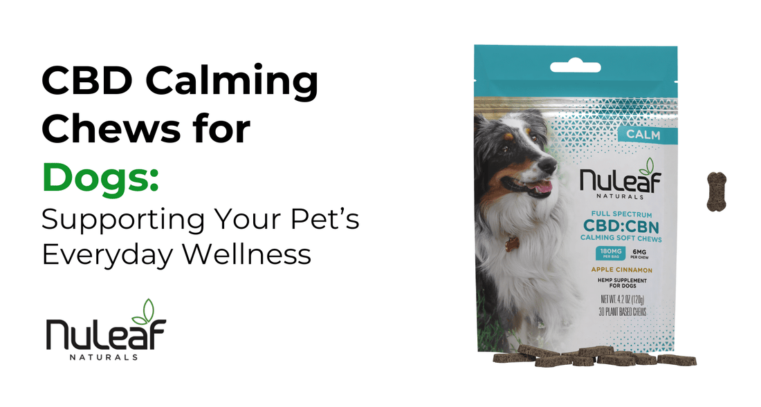 CBD Calming Chews for Dogs: Benefits & Dosage