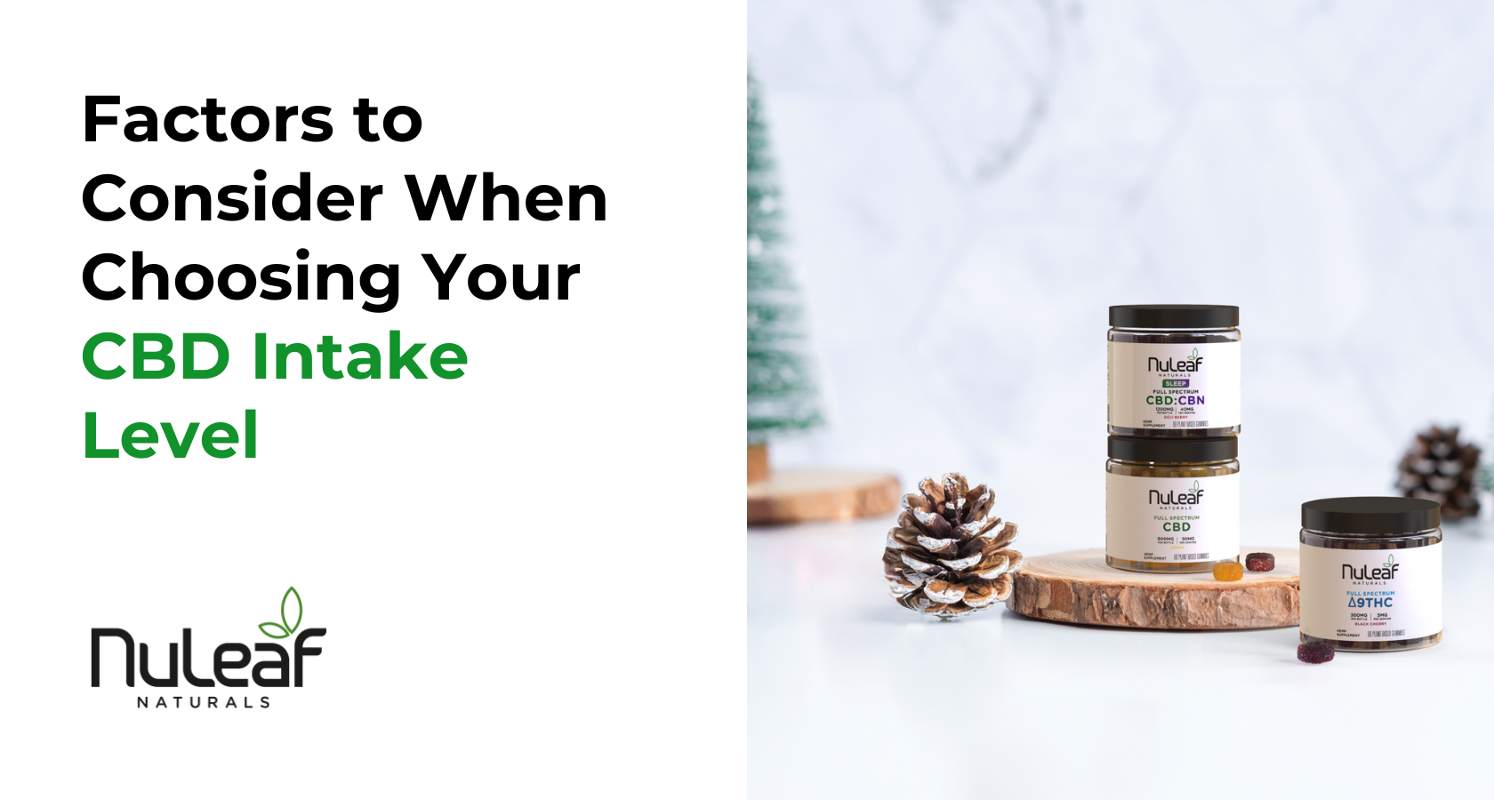How Much CBD Should You Take? A Dosage Guide