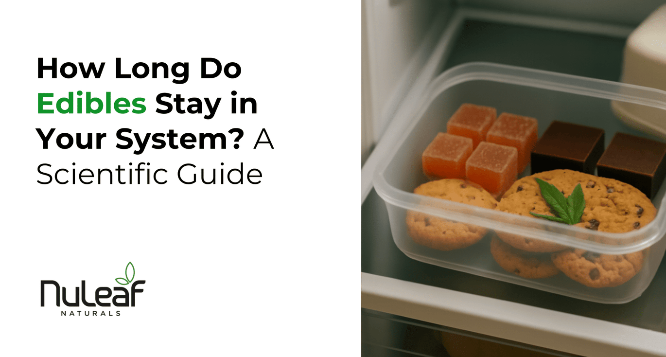 How Long Do Edibles Stay in Your System? A Scientific Guide