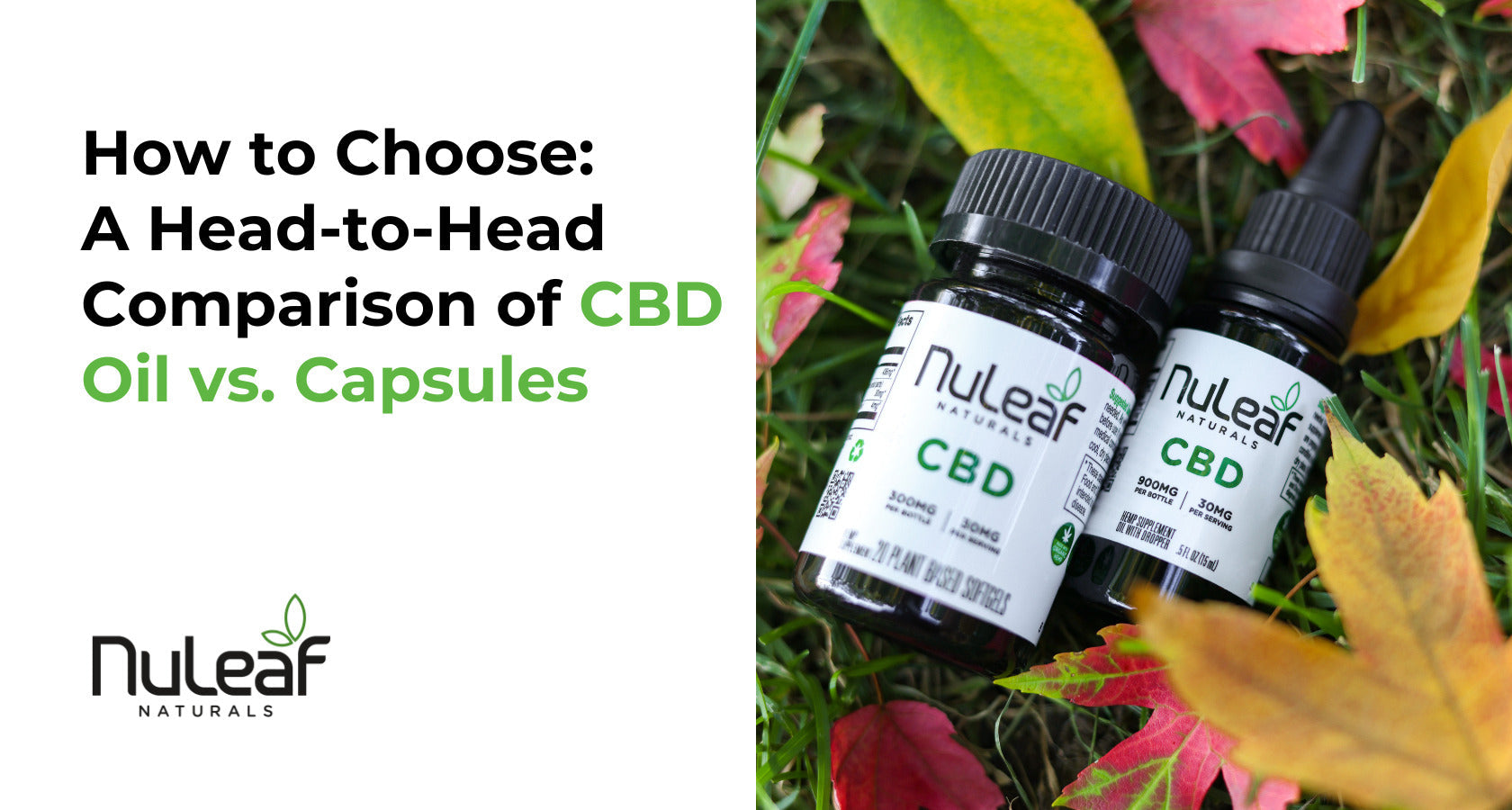 CBD Oil vs. Capsules: Which is Right For You? (A 2025 Comparison)