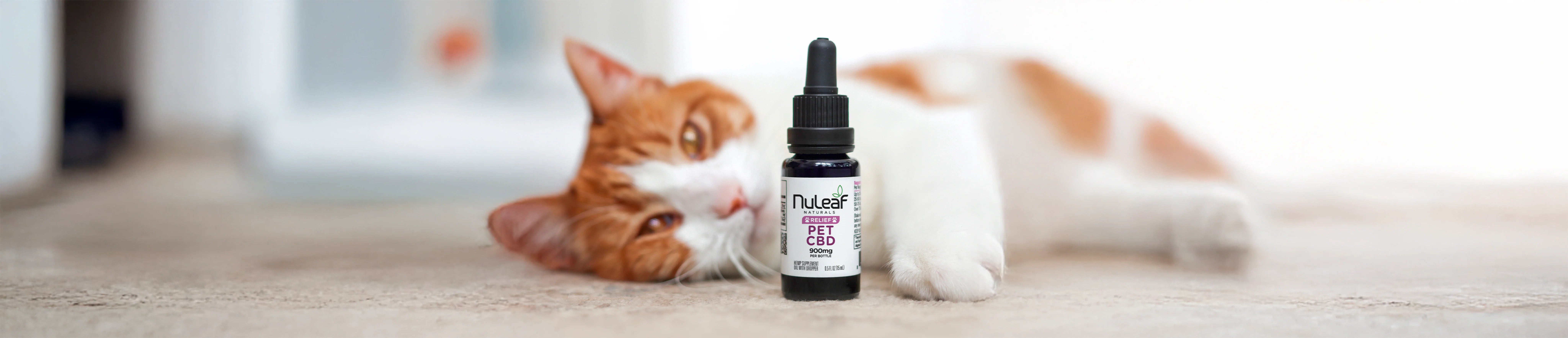 Buy Pet CBD Oils Online | Hemp Tinctures for Dogs & Cats