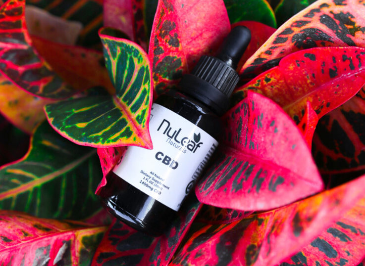 Sprouts Farmers Market to Carry NuLeaf Naturals CBD Oil in All 31 ...