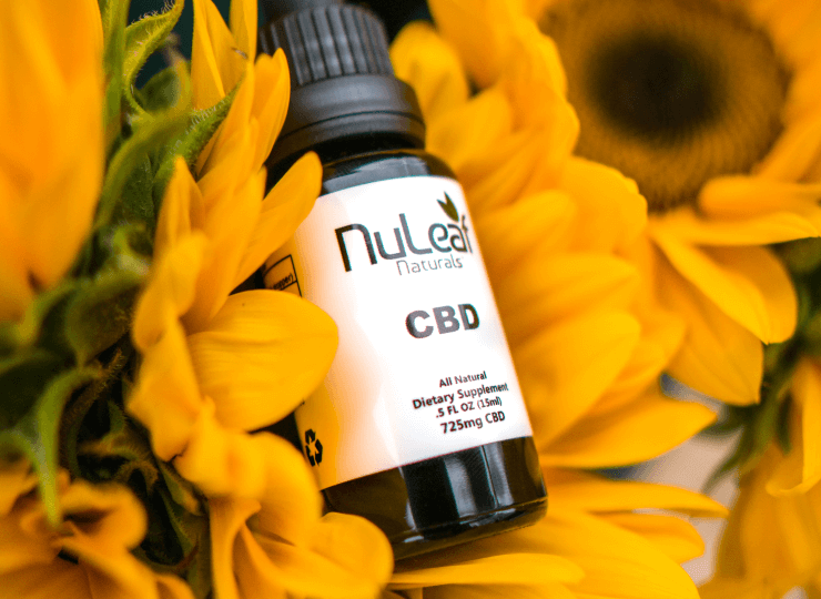 Water Soluble CBD | The Definitive Guide to Water-Soluble CBD