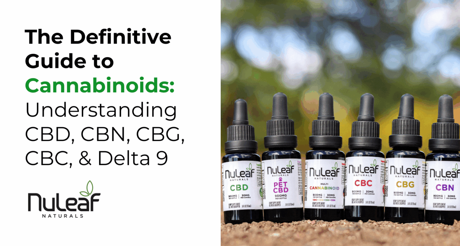 Cannabinoids Explained: CBD, CBN, CBG, CBC & More