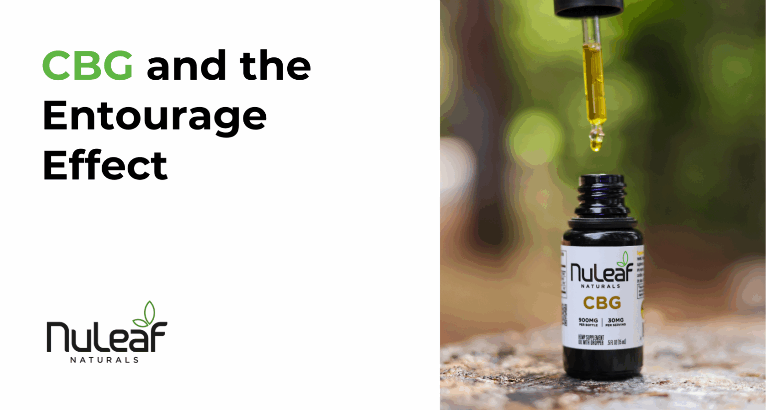 What is CBG (Cannabigerol)? A Guide to the Mother of Cannabinoids