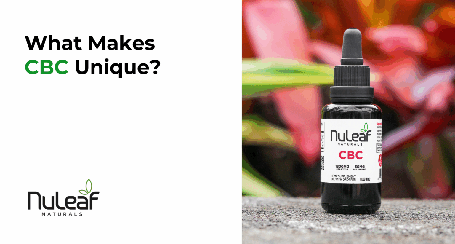 What is CBC (Cannabichromene)? A Guide to This Unique Cannabinoid