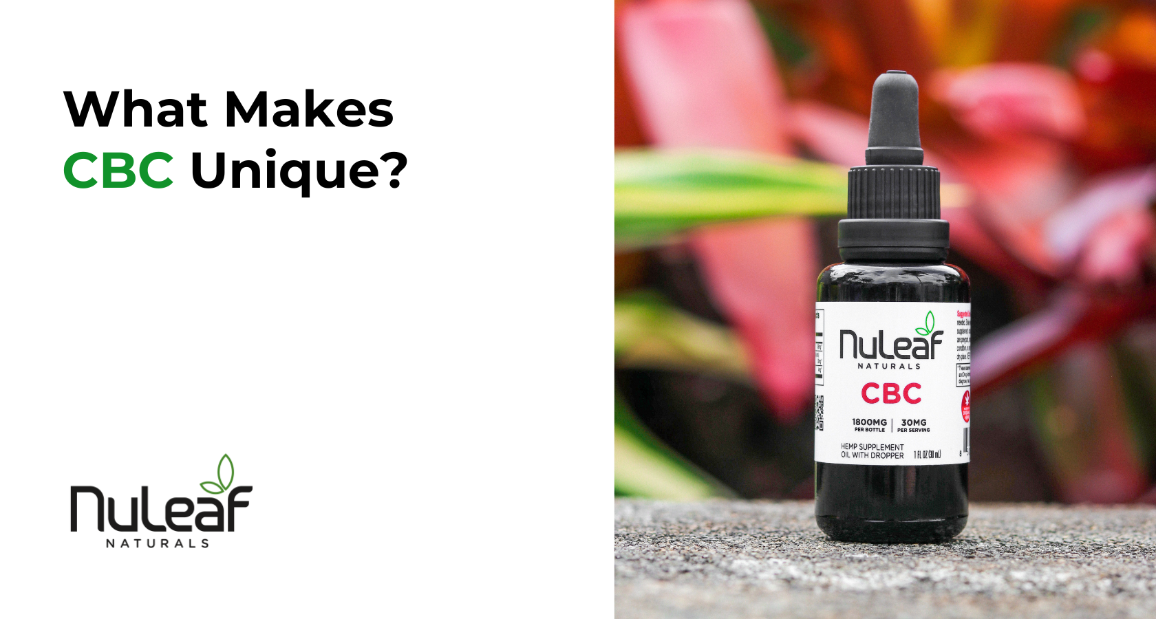 What is CBC (Cannabichromene)? A Guide to This Unique Cannabinoid